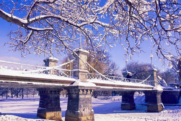 Winter In Cambridge | Irving House at Harvard